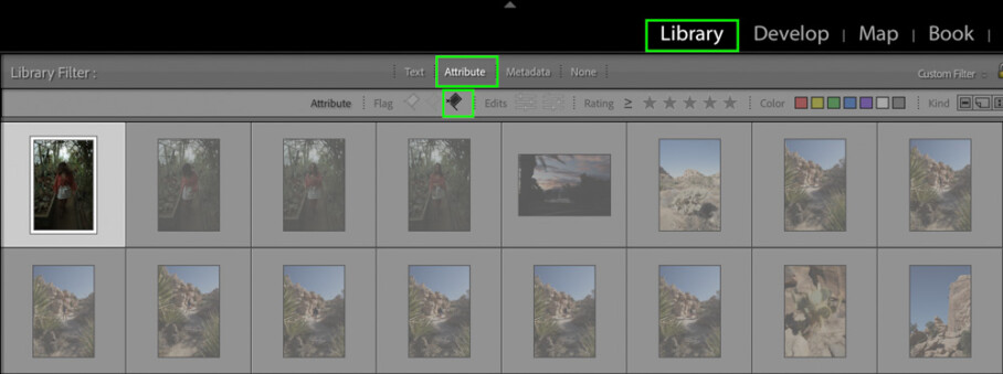 Flagging Photos In Lightroom - Everything You Should Know